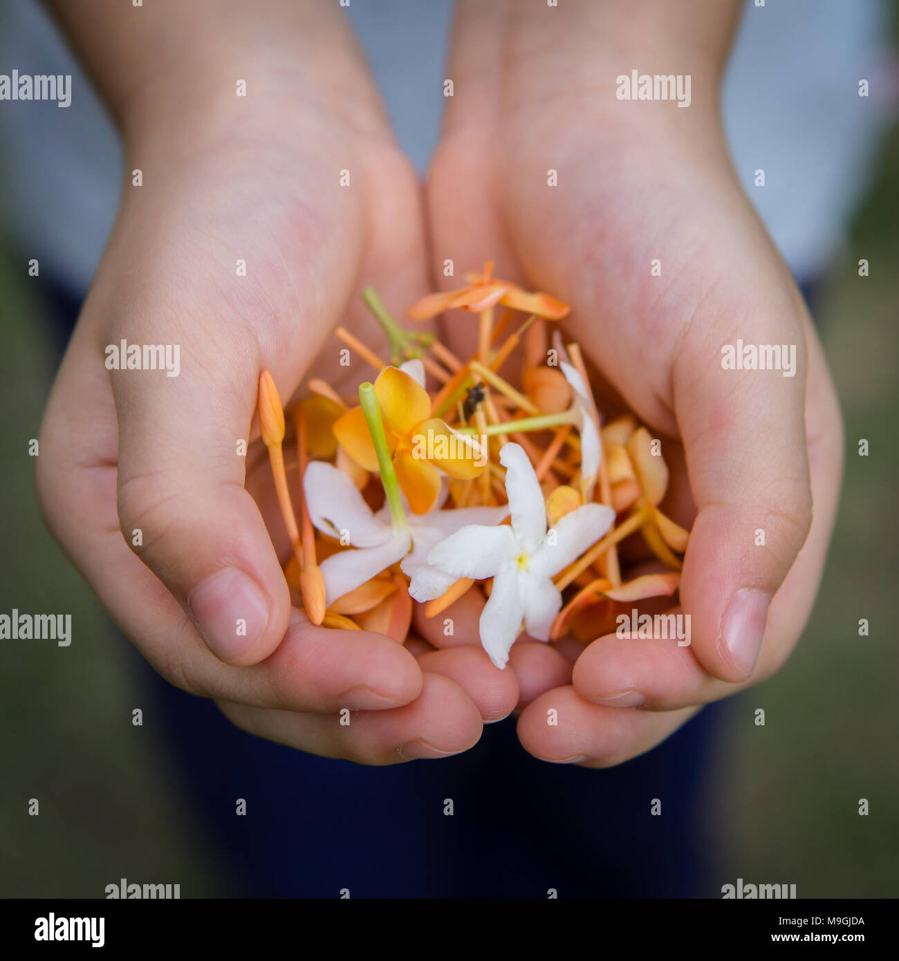 Finger flower hi-res stock photography and images - Alamy