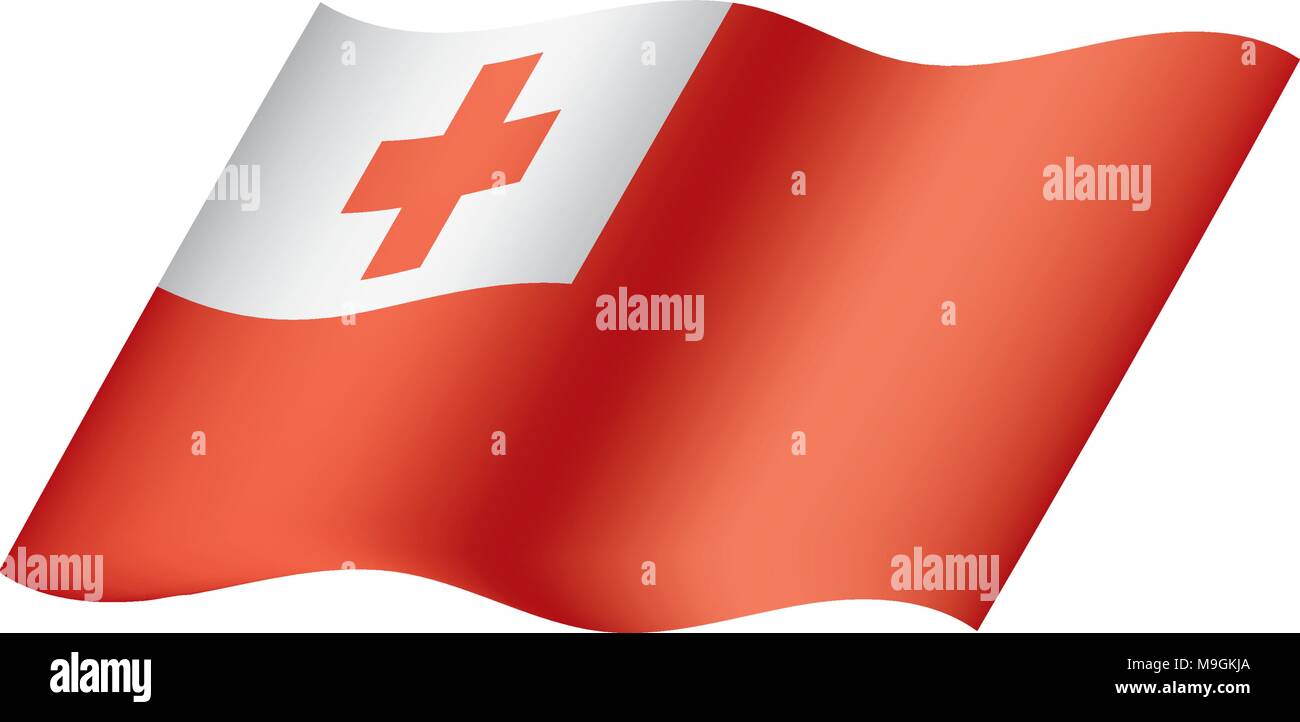 Tonga flag, vector illustration Stock Vector Image & Art - Alamy