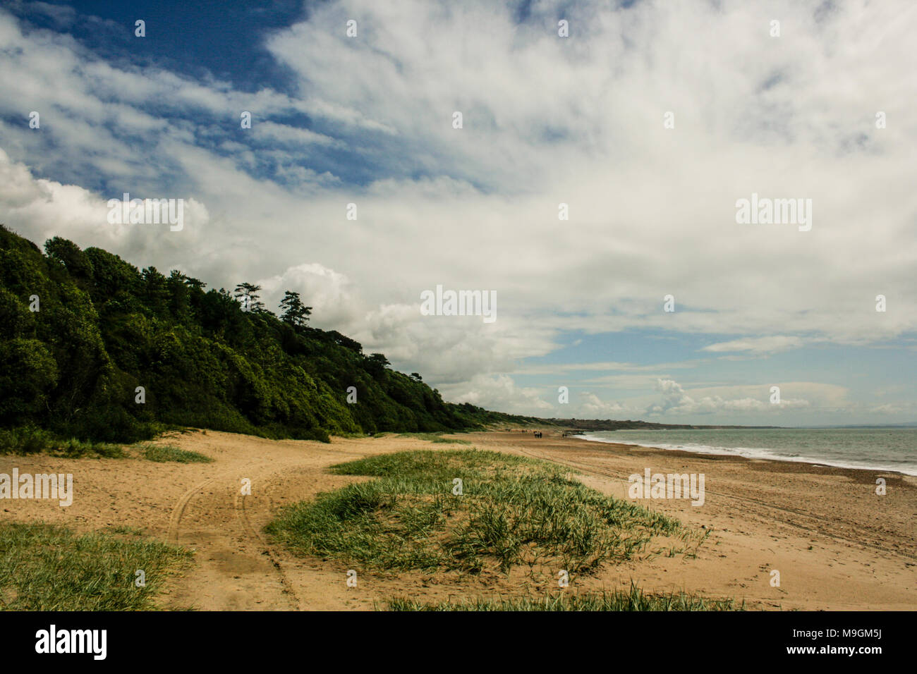 Highcliffe castle new forest hi-res stock photography and images - Alamy