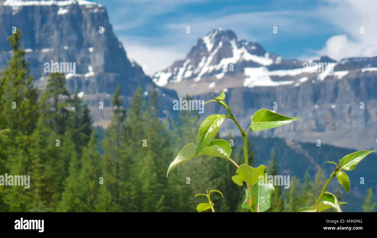 British columbia rockies hi-res stock photography and images - Alamy