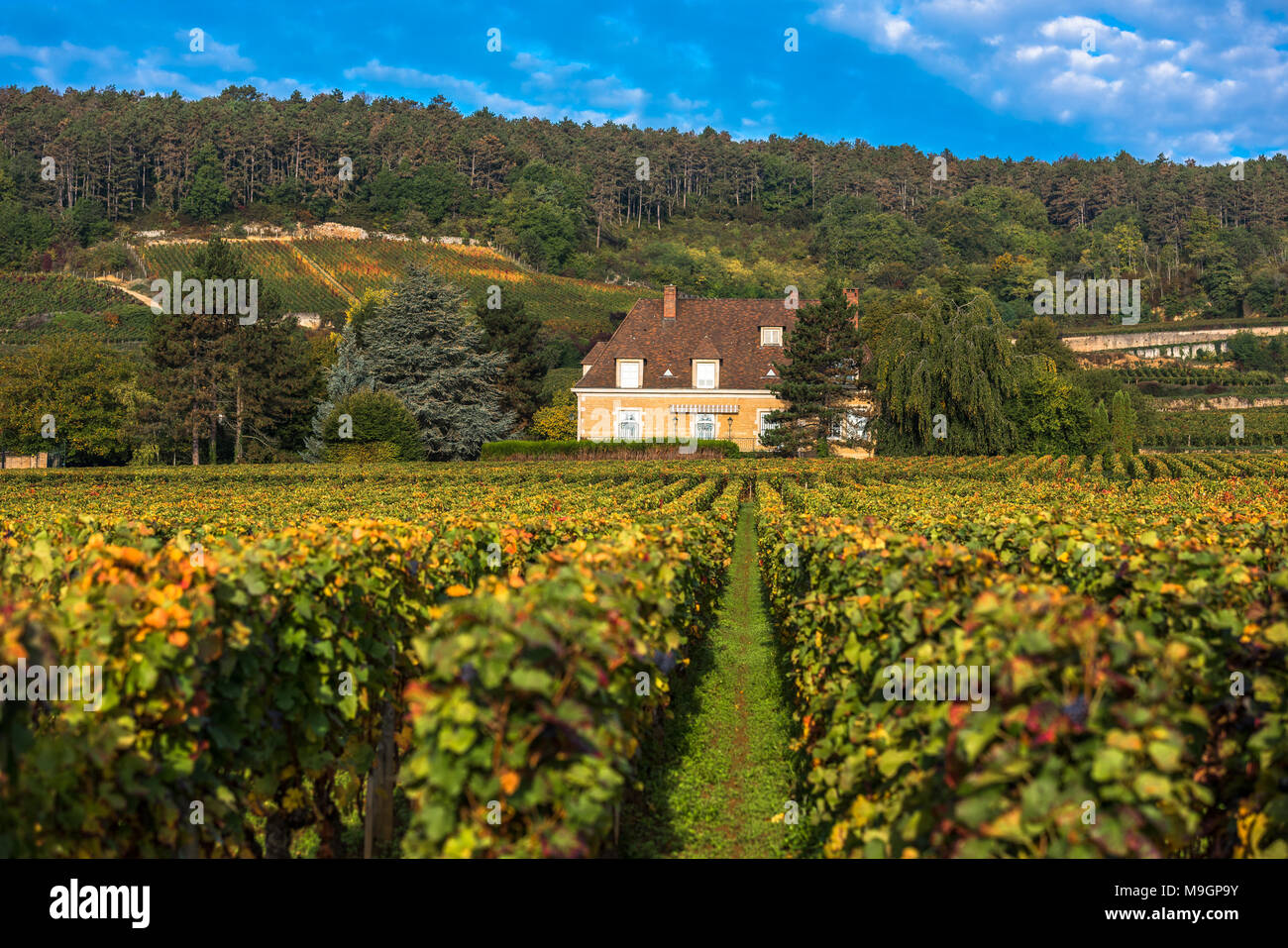 Burgundy France Landscape Stock Photos & Burgundy France Landscape ...