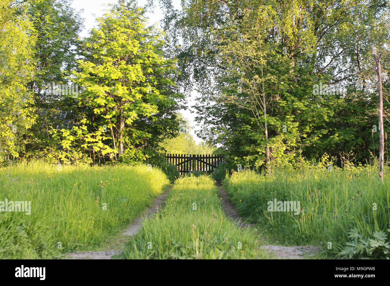 farm in nature outdoor Stock Photo - Alamy