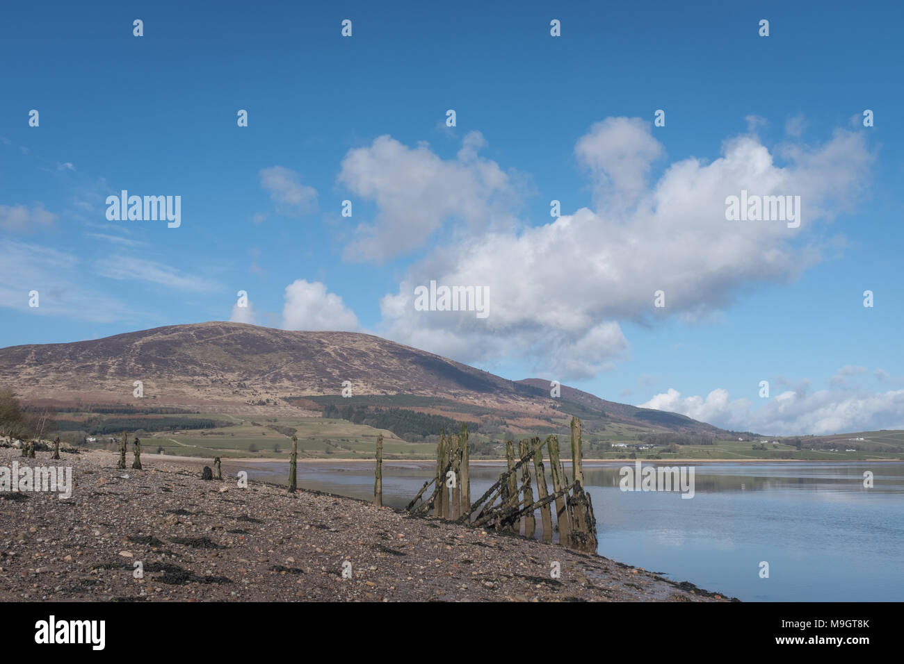 Remains of a 19th century pier on the beach at Carsethorn, with Criffel ...