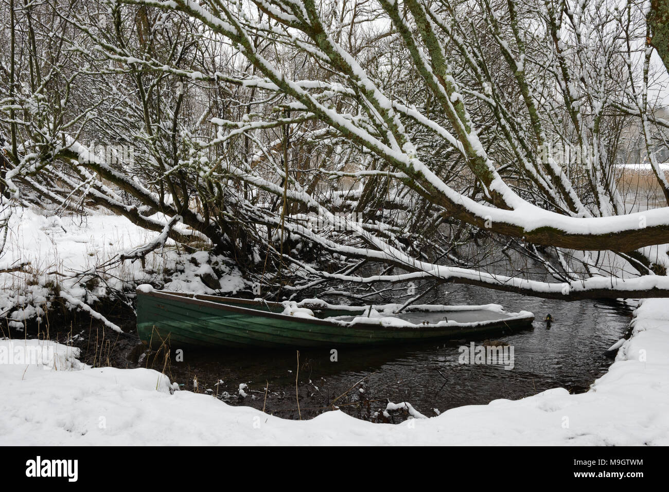 Green fishing boat underneath trees covered in snow in small lake inlet ...