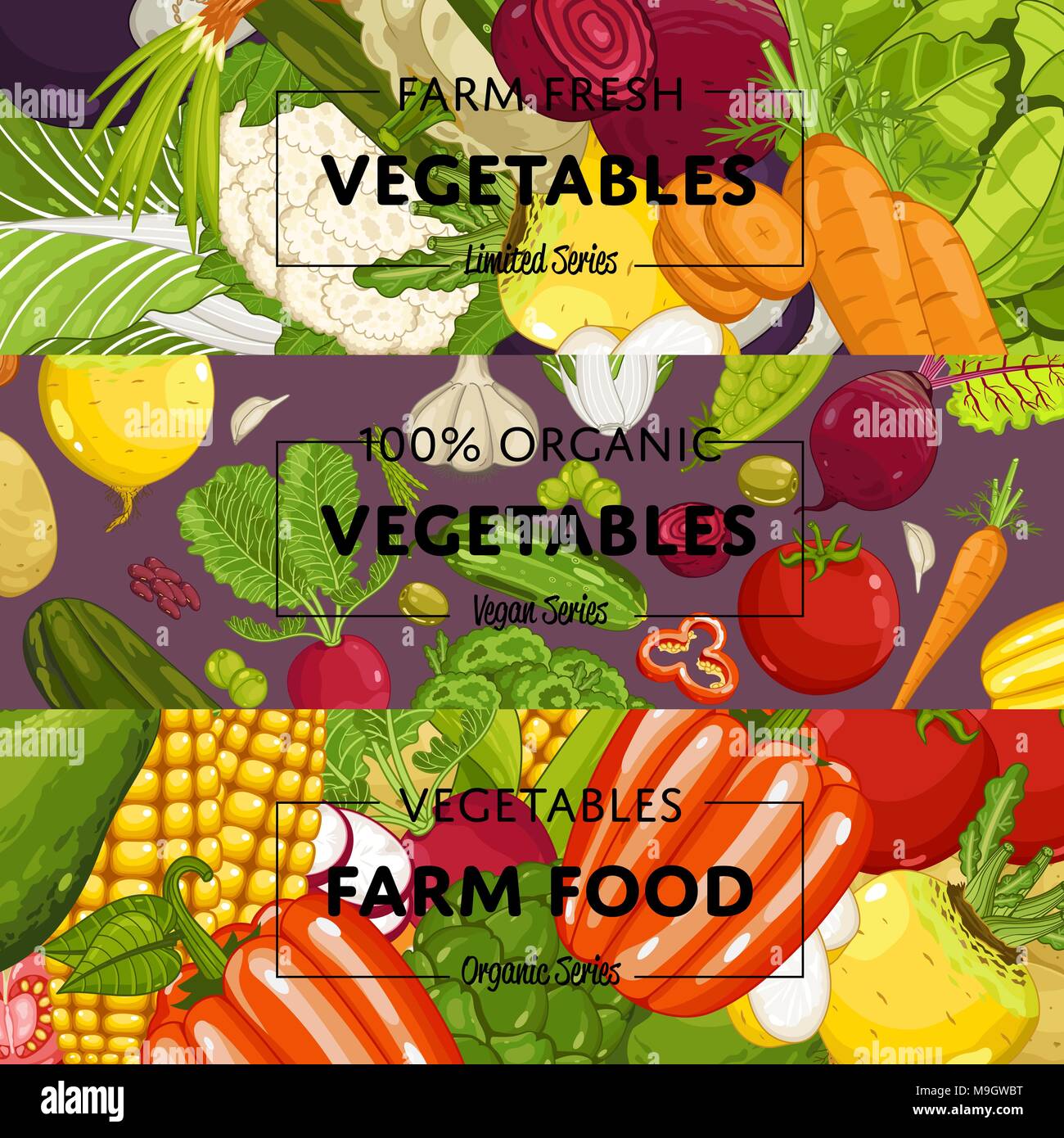 Organic vegetable farming flyers set Stock Vector Image & Art - Alamy