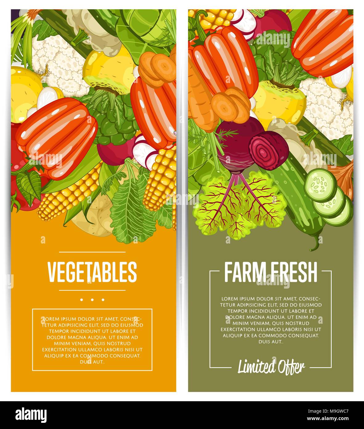 Organic vegetable farming flyers set Stock Vector Image & Art - Alamy
