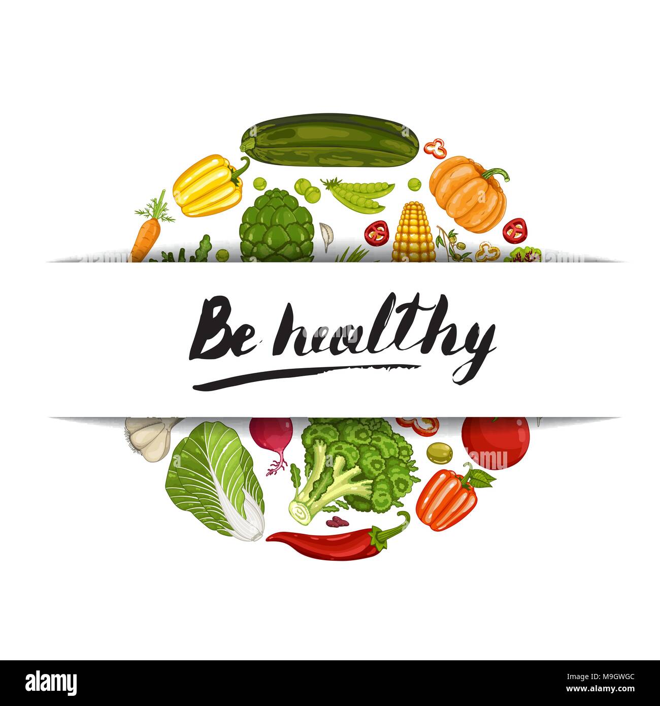 Garlic growing in vegetable Stock Vector Images - Alamy