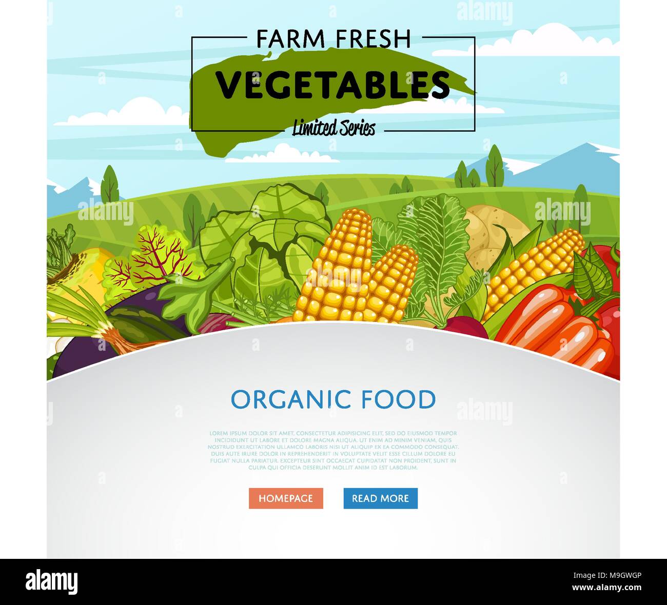 Farm fresh vegetable banner with rural landscape Stock Vector Image ...