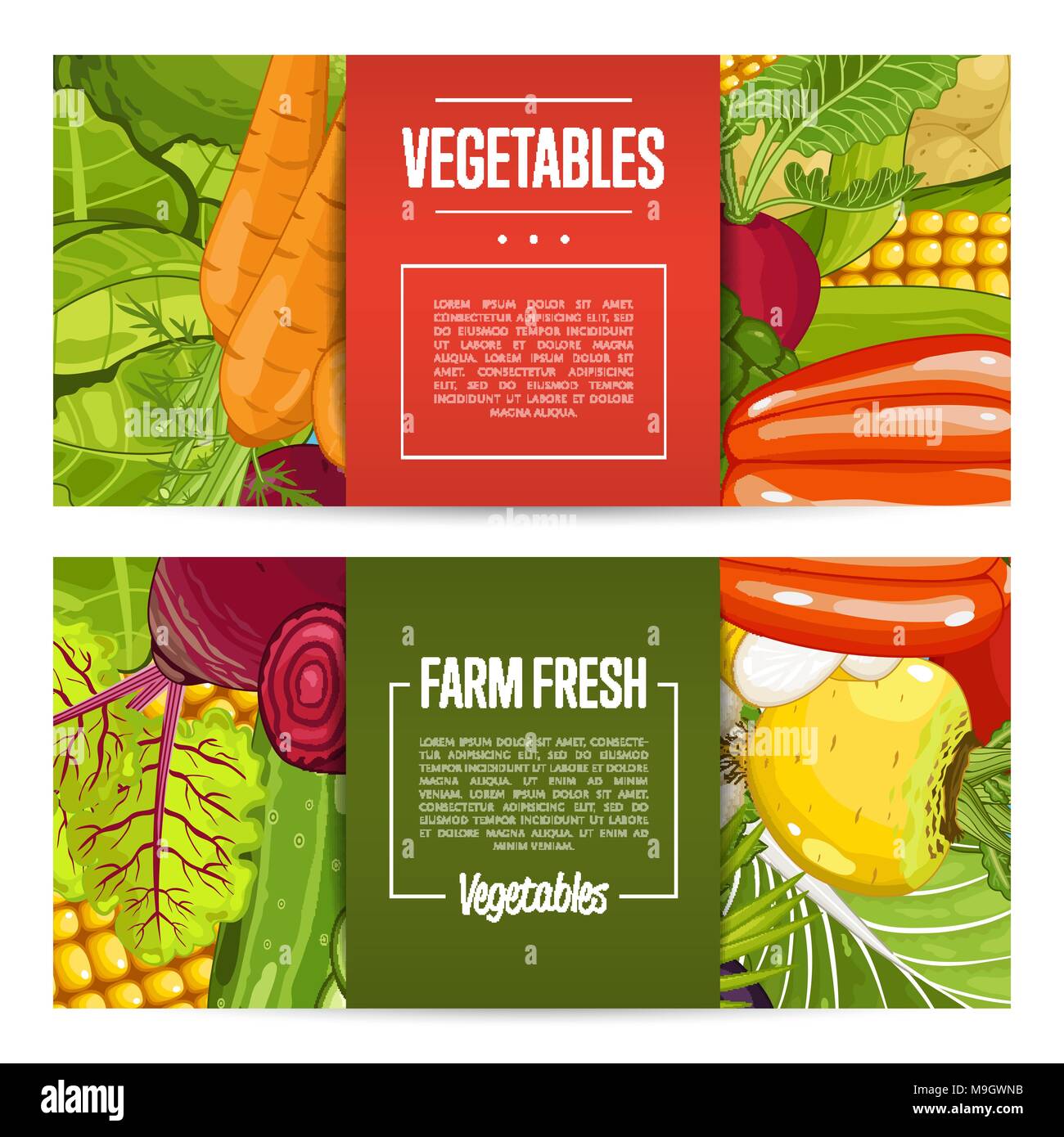 Garden grown produce Stock Vector Images - Alamy