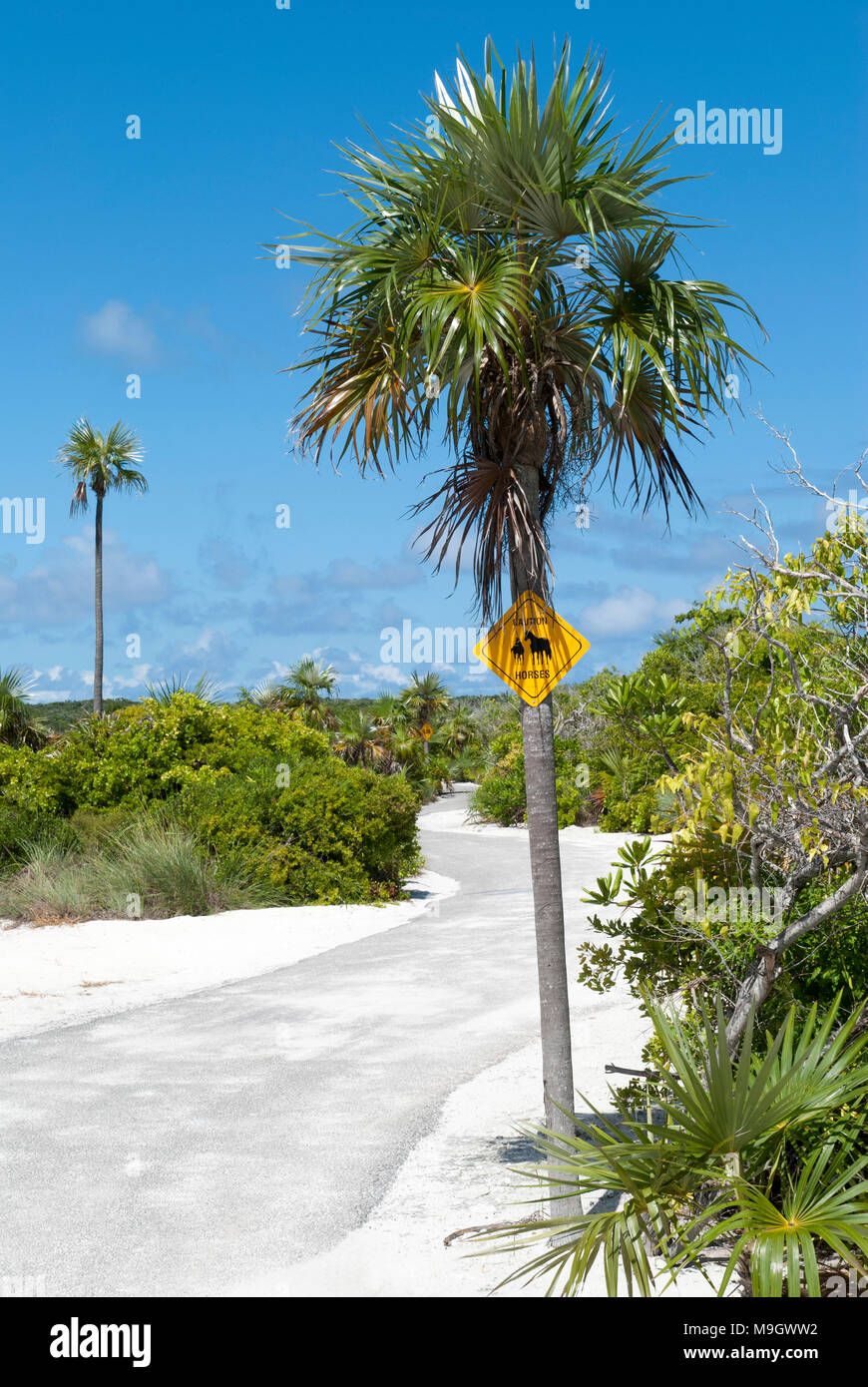 Bahamas road sign hi-res stock photography and images - Alamy