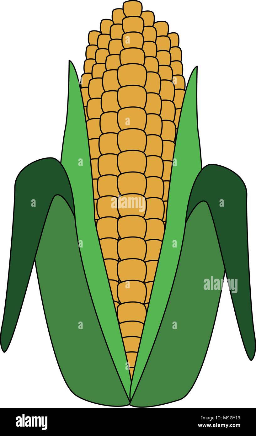 Corn vegetable food vector illustration graphic design Stock Vector ...