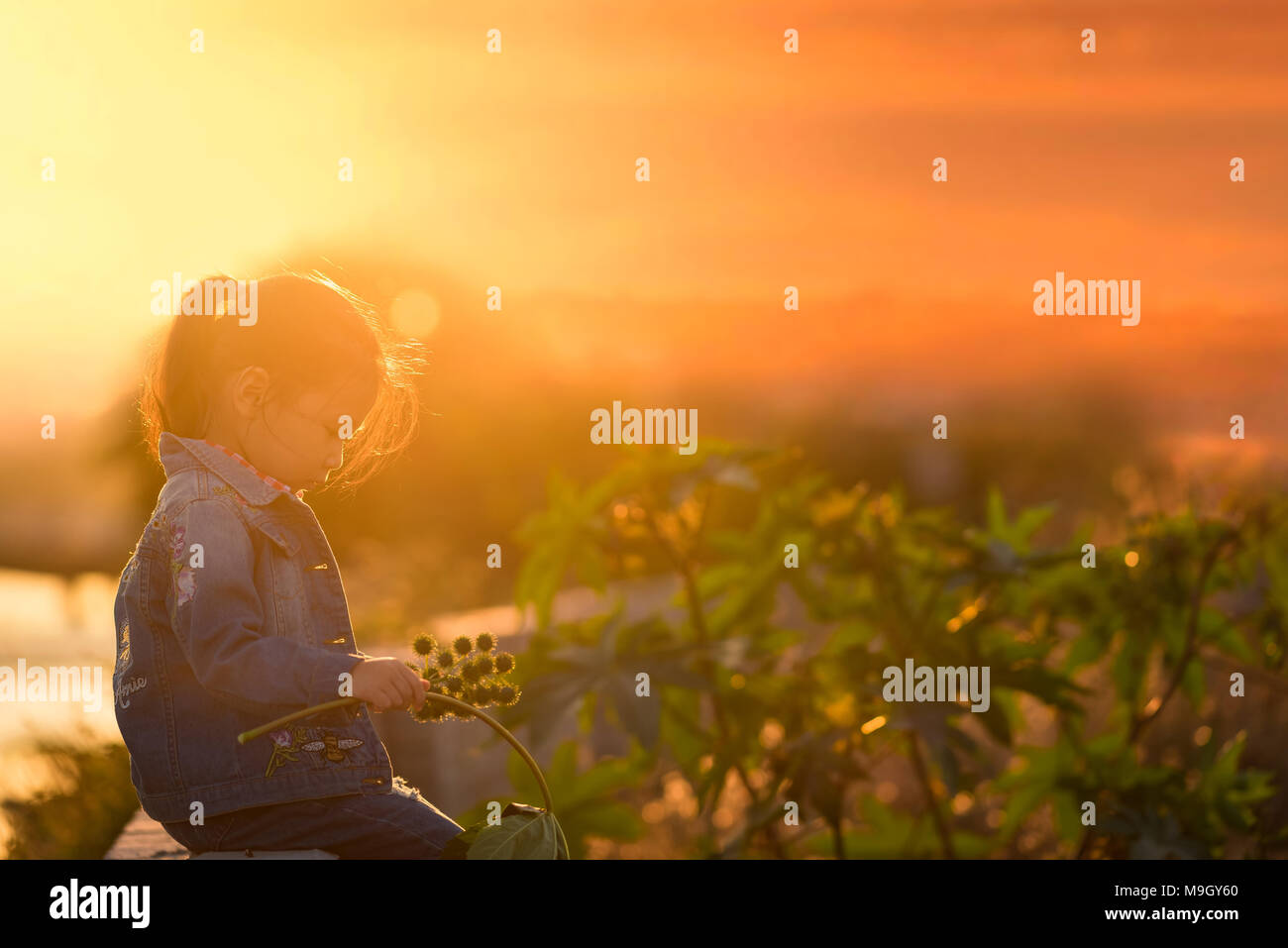 cute little girl child Stock Photo - Alamy