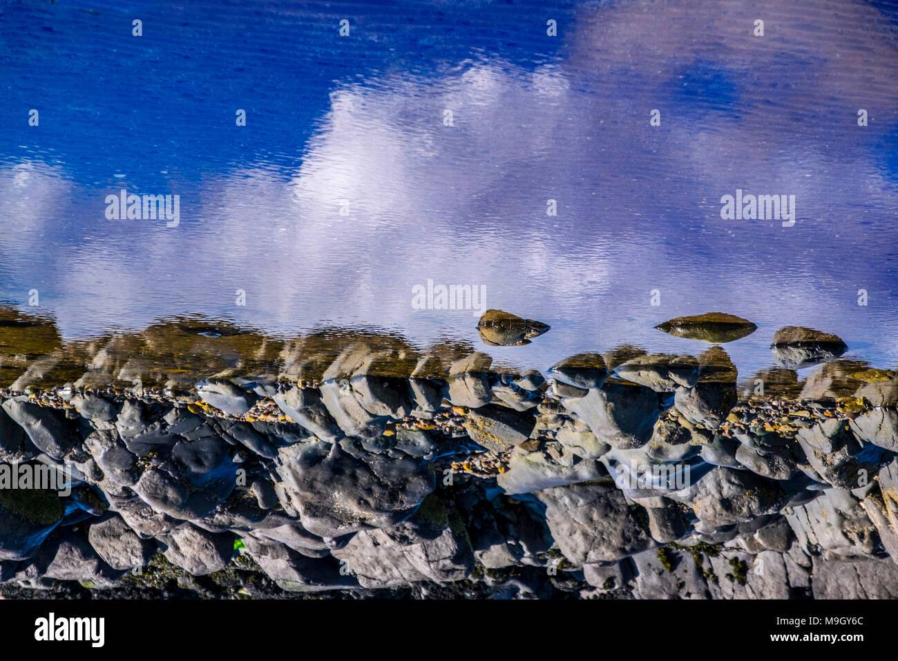 seaweed and rock pools on Scottish Beach Stock Photo - Alamy