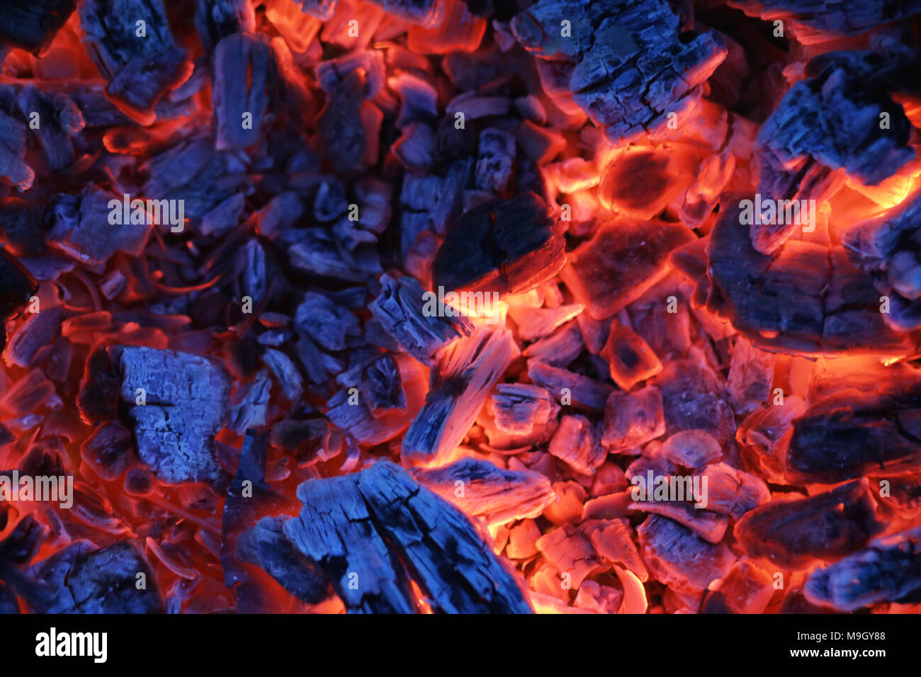 Fire of orange-yellow color from burning fir Stock Photo - Alamy