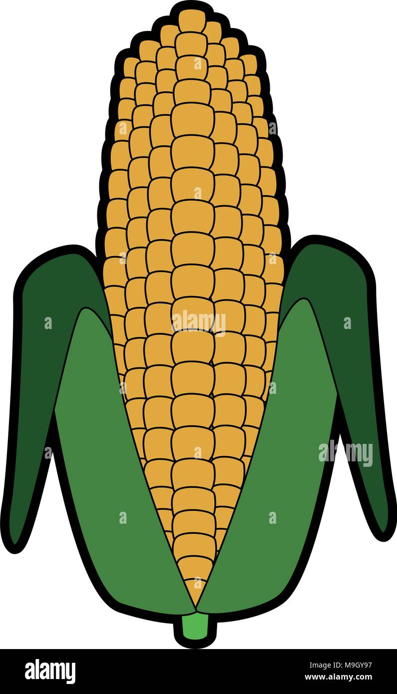 Corn vegetable food vector illustration graphic design Stock Vector ...