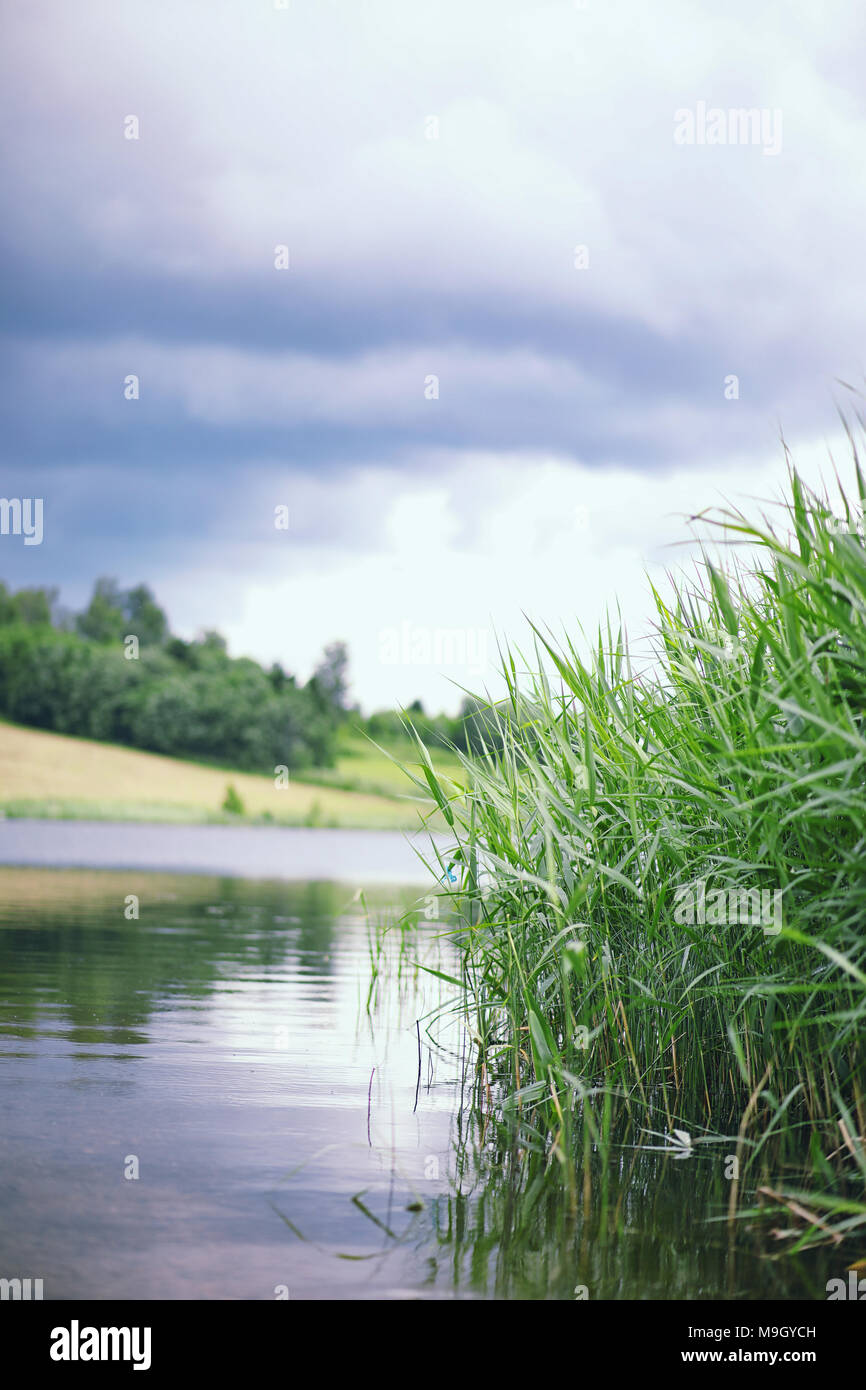 Landscape lake. Texture of water. The lake is at dawn. The mouth Stock ...