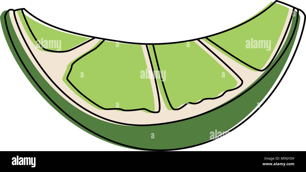 Lemon slice isolated vector illustration graphic design Stock Vector ...