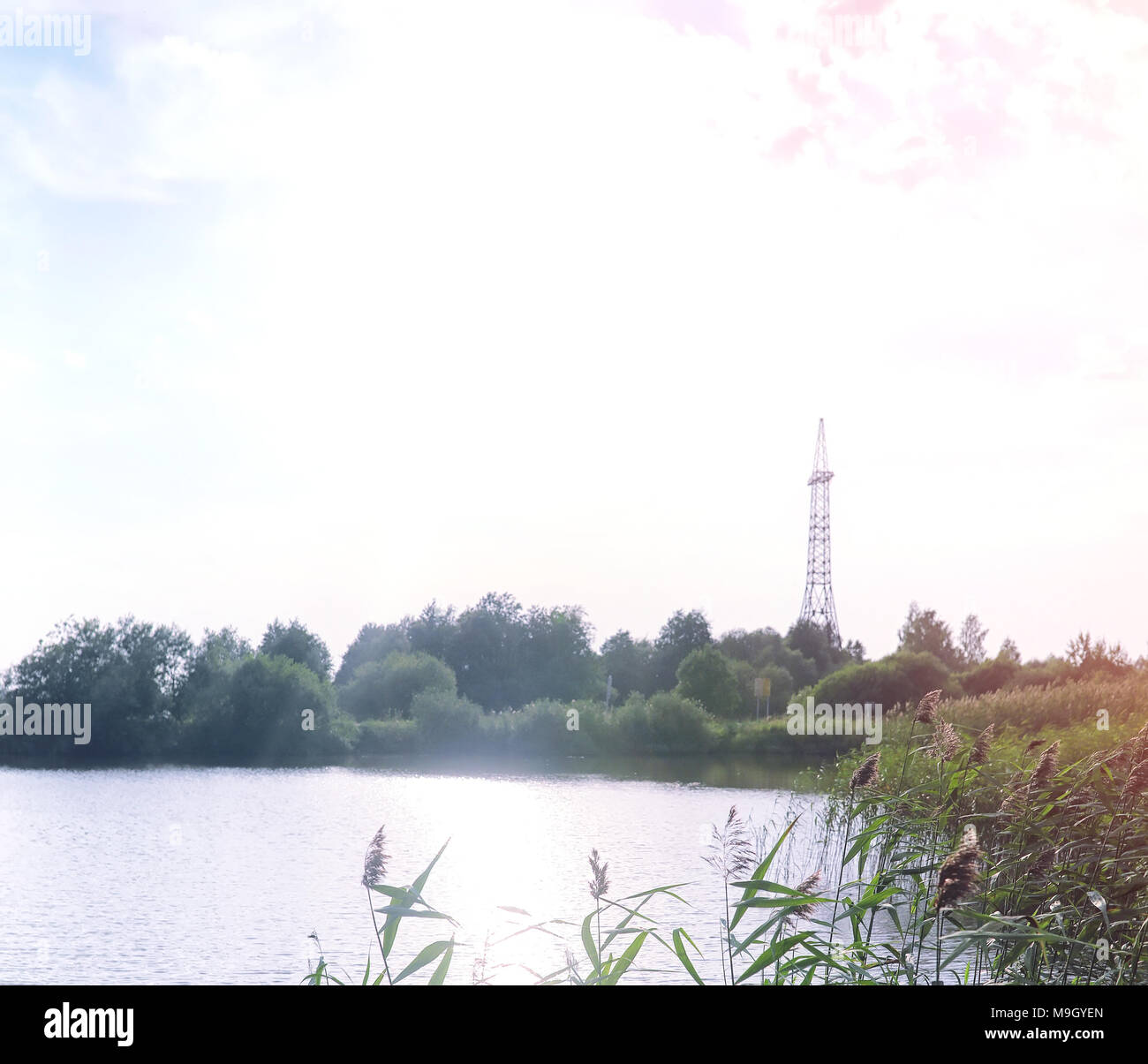 Landscape lake. Texture of water. The lake is at dawn. The mouth Stock ...