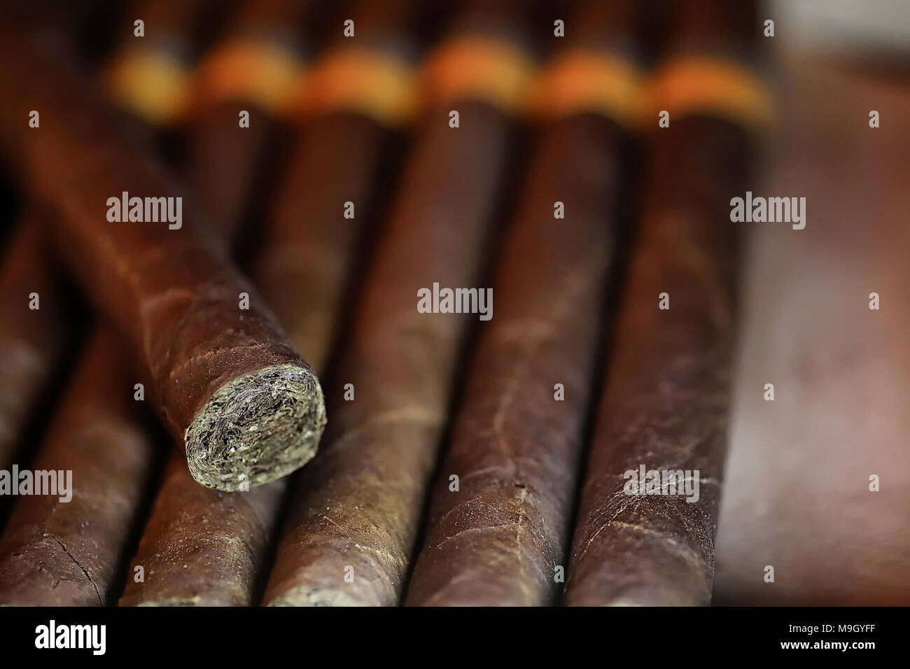 large wooden box of cigars handmade Cuban Stock Photo - Alamy