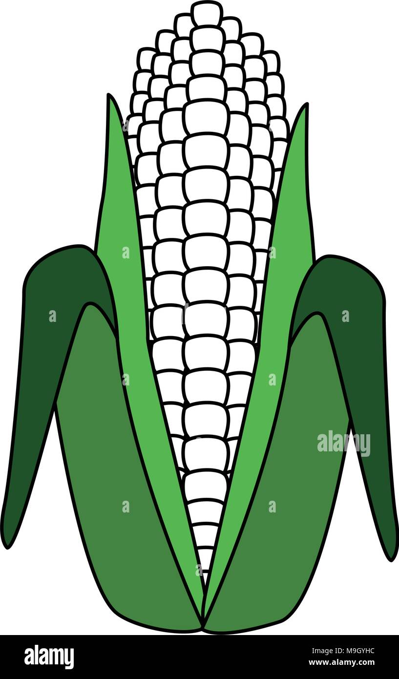 Corn vegetable food vector illustration graphic design Stock Vector ...