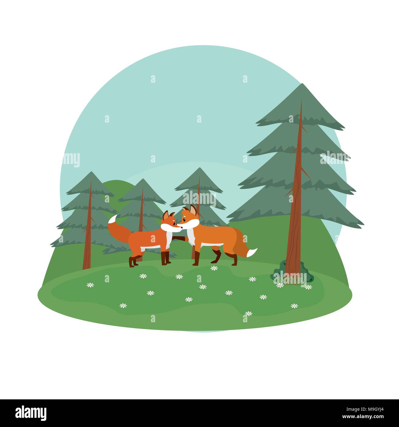 Trees in forest sunny Cut Out Stock Images & Pictures - Alamy