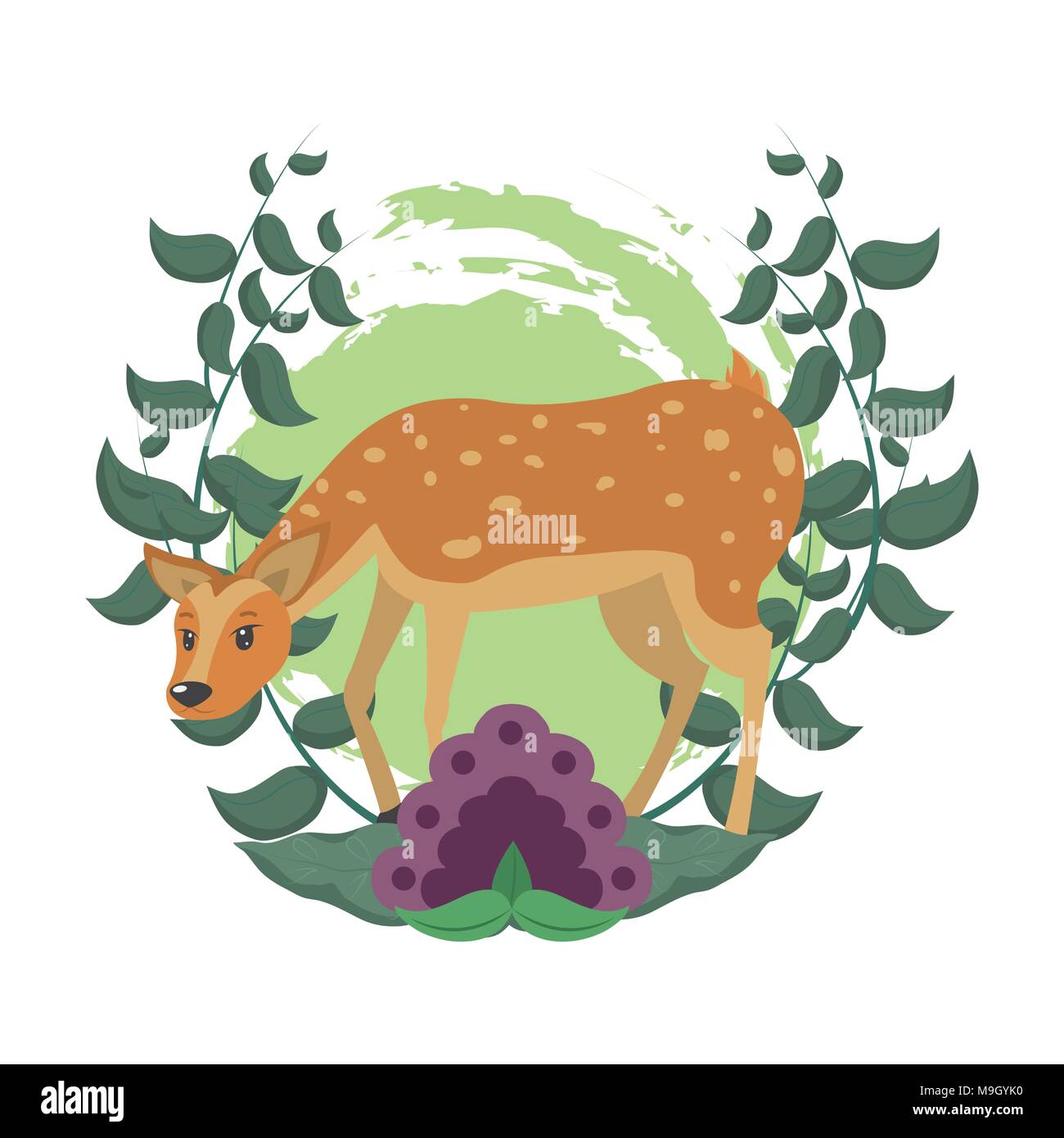 Trees in forest sunny Cut Out Stock Images & Pictures - Alamy