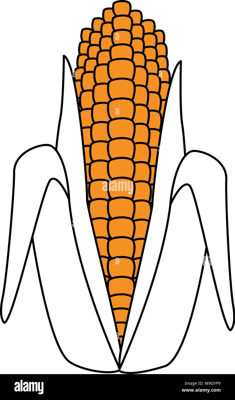 Corn vegetable food vector illustration graphic design Stock Vector ...