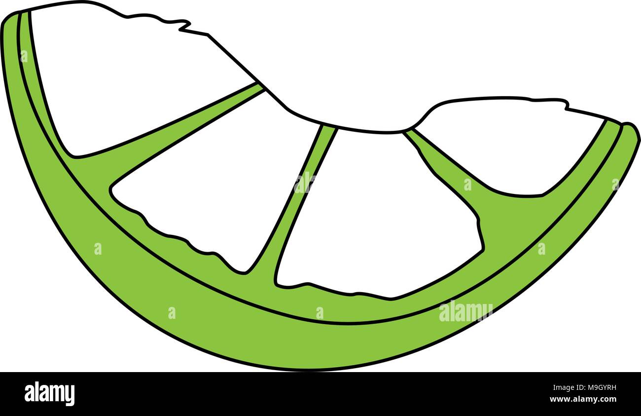 Lemon slice isolated vector illustration graphic design Stock Vector Image & Art - Alamy