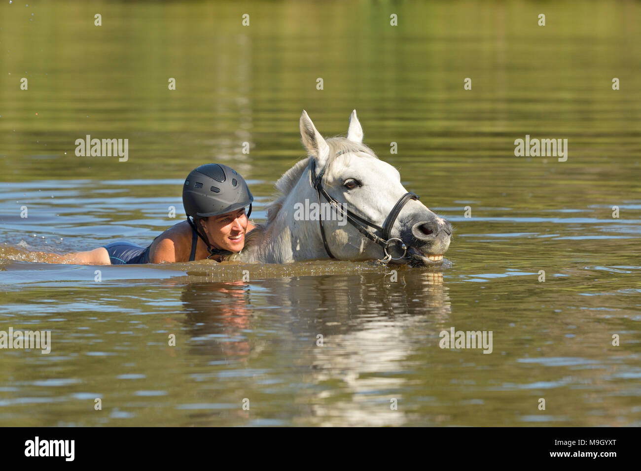 Pony Swim High Resolution Stock Photography and Images - Alamy