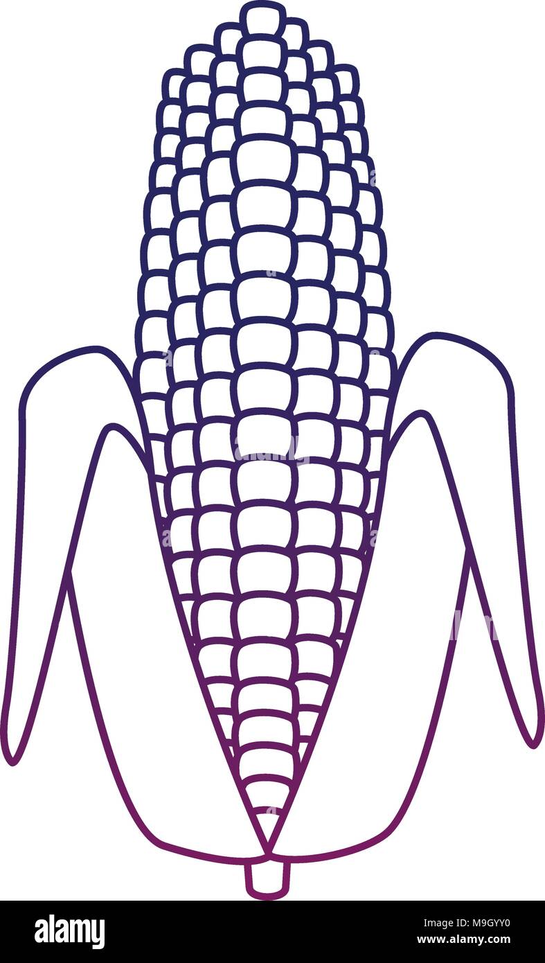 Corn vegetable food vector illustration graphic design Stock Vector ...