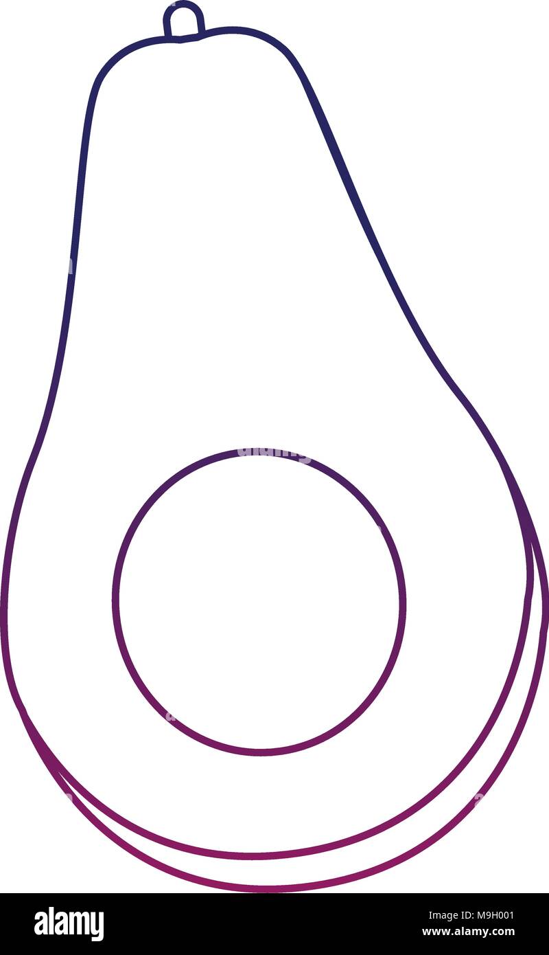 Avocado half cut vector illustration graphic design Stock Vector Image ...