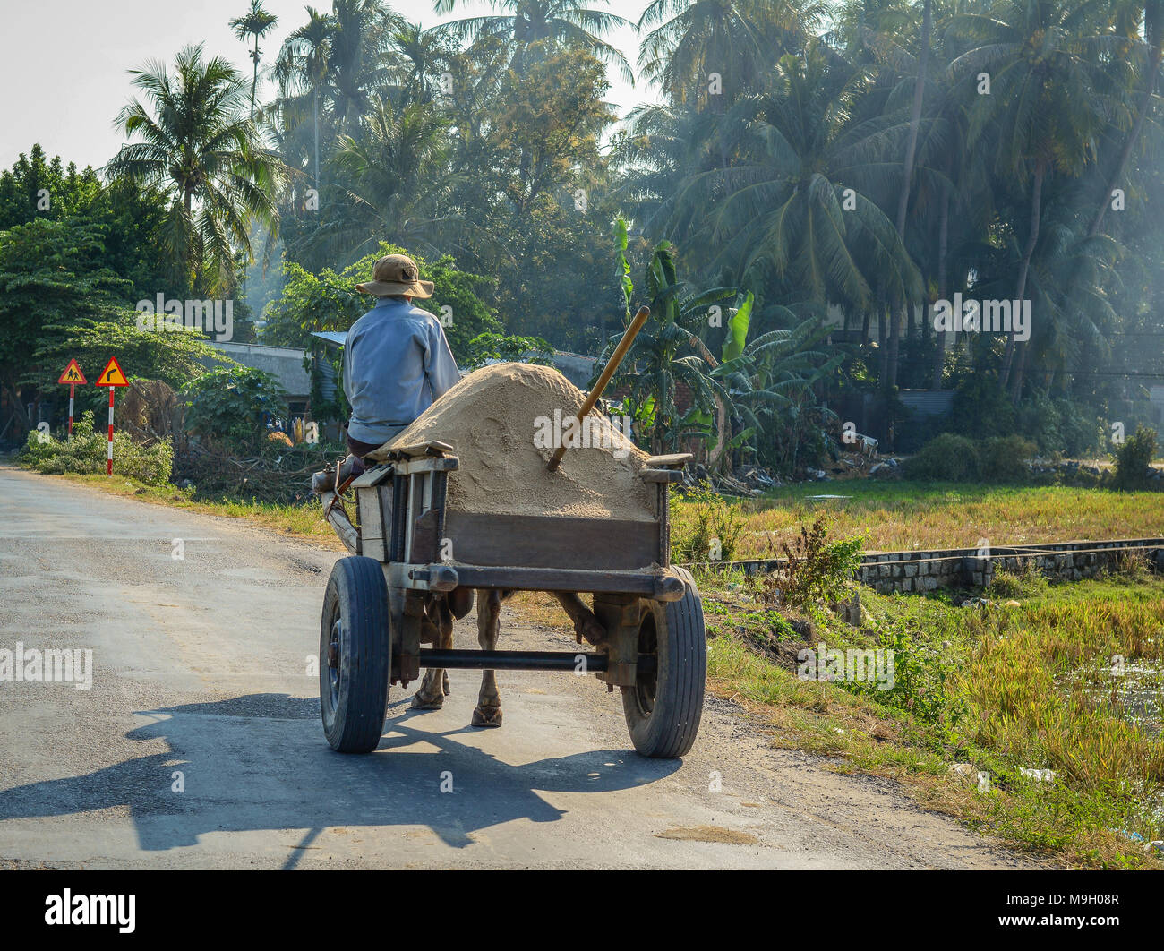 A man riding ox cart on rural road in Phu Yen, Southern Vietnam Stock ...