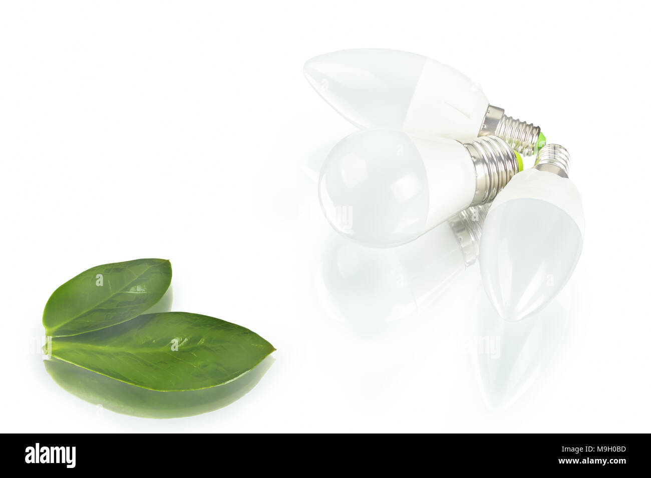 white innovation energy-saving LED bulb, glow-lamp, dry and fresh leaf ...