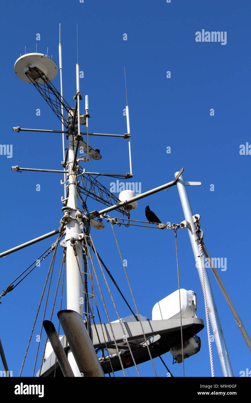 Black crow on the rigs of a fishing boat's mast. Fisherman's terminal ...