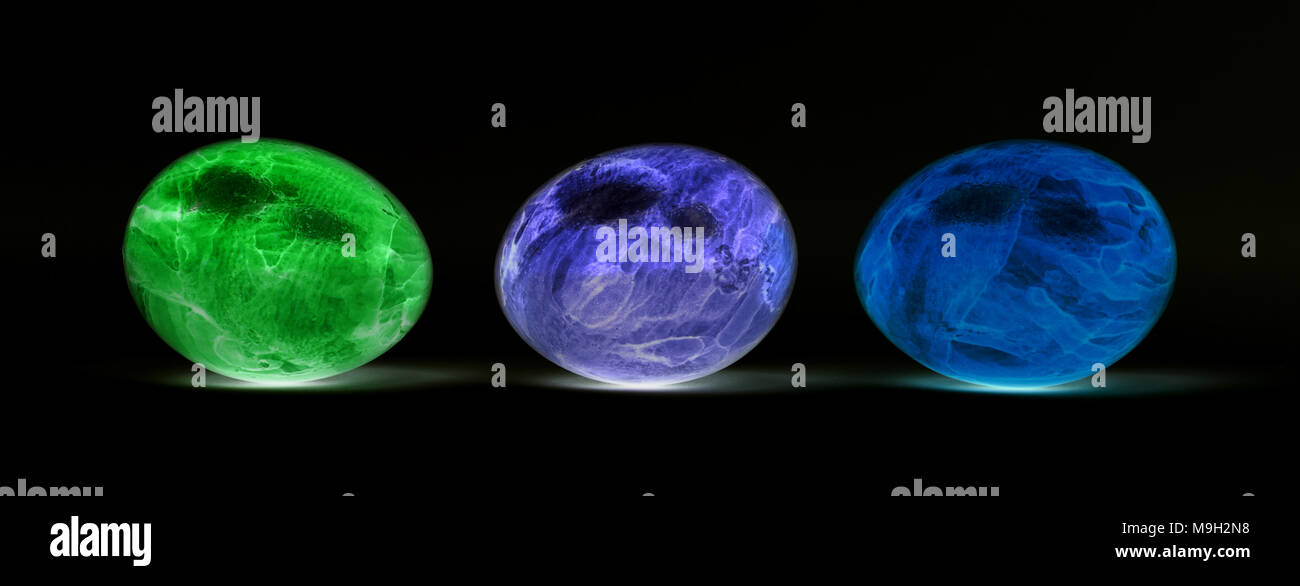 X ray eggs hi-res stock photography and images - Alamy