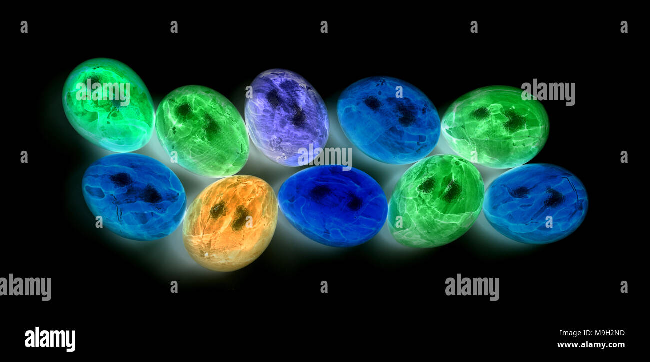 Painted eggs, easter - X-Ray - Isolated on a black background Stock ...