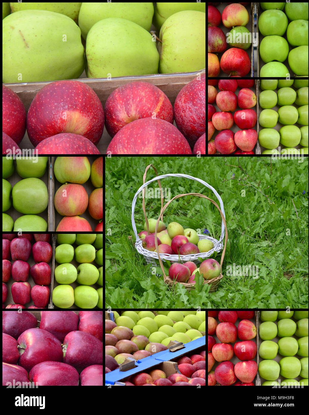 Picture of a Variuos apples , collage. Deit concept Stock Photo - Alamy