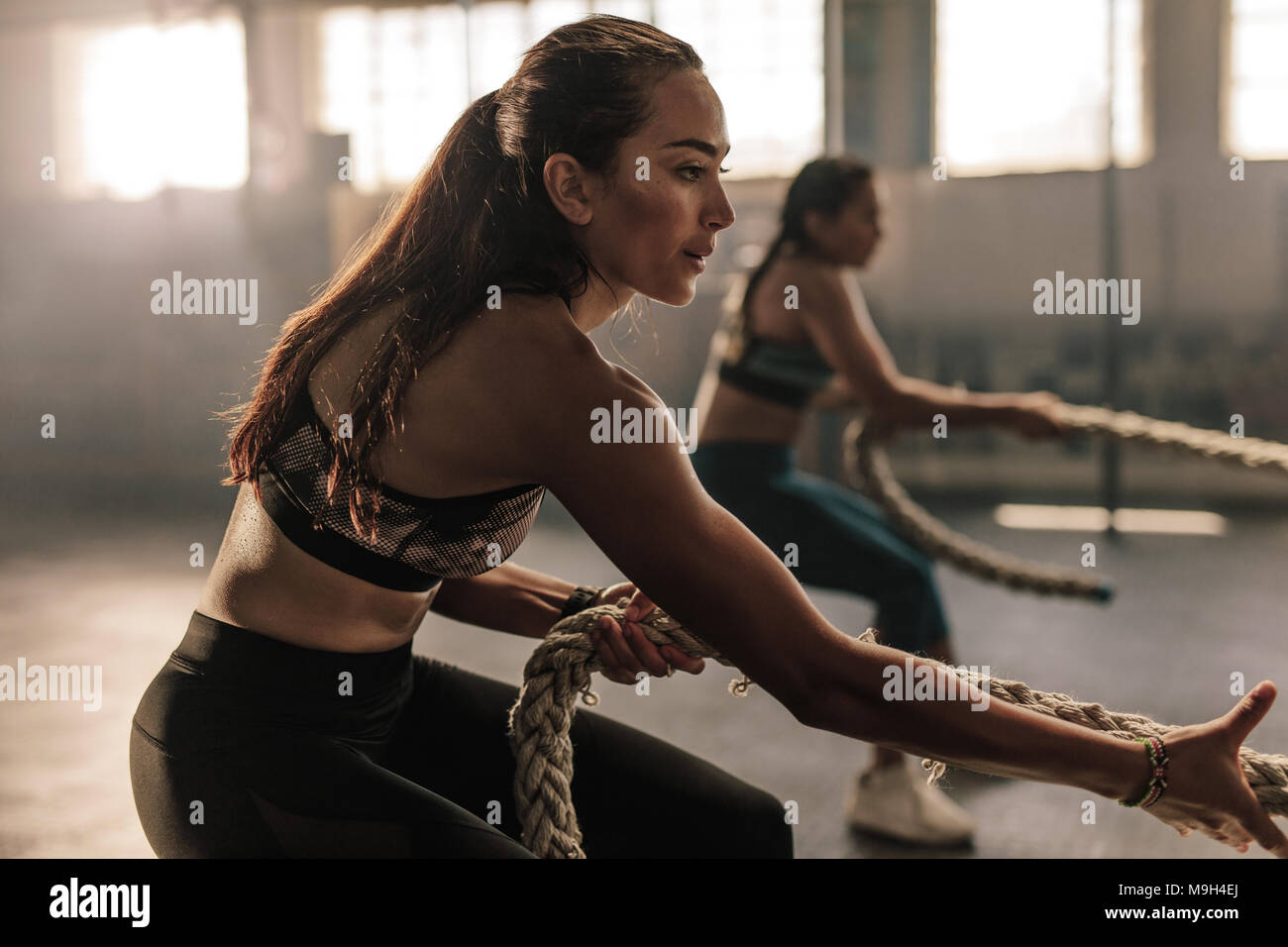 Two young women doing exercises with rope at a gym. fitness females ...