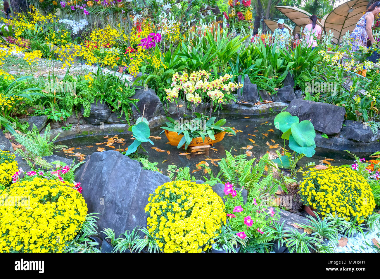 Spring Festival flower garden in lunar year to attract more tourists to ...