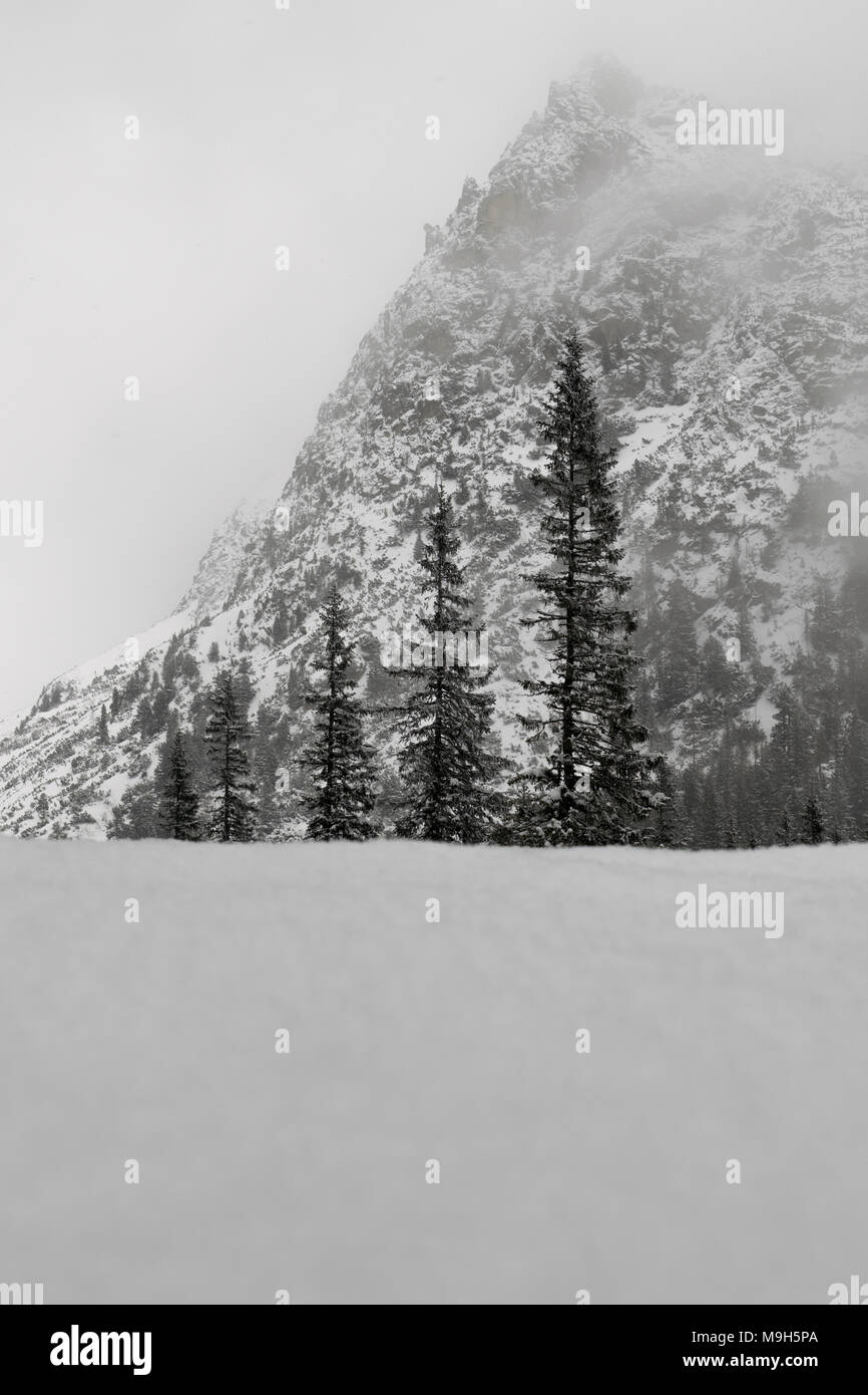 Fog and hill hi-res stock photography and images - Alamy