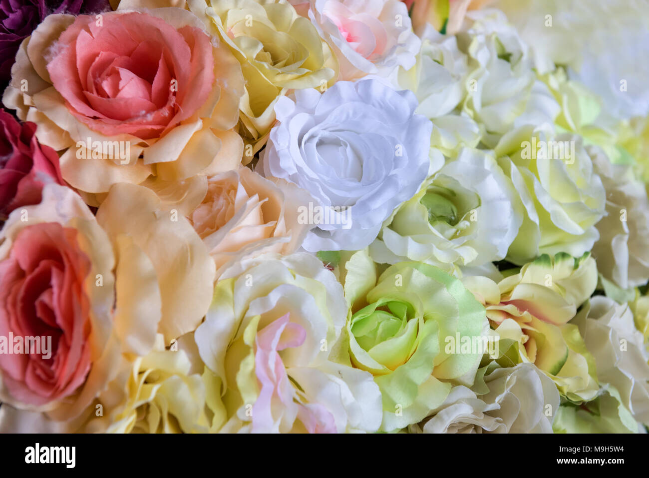 Colorful design pattern of flower texture and background Stock Photo ...