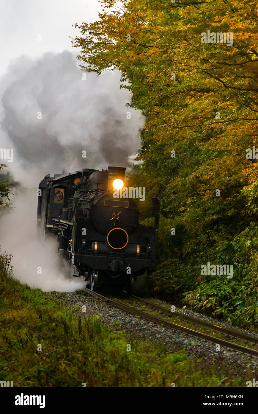 steam locomotive in autumn forest at Fukushima Japan Stock Photo - Alamy