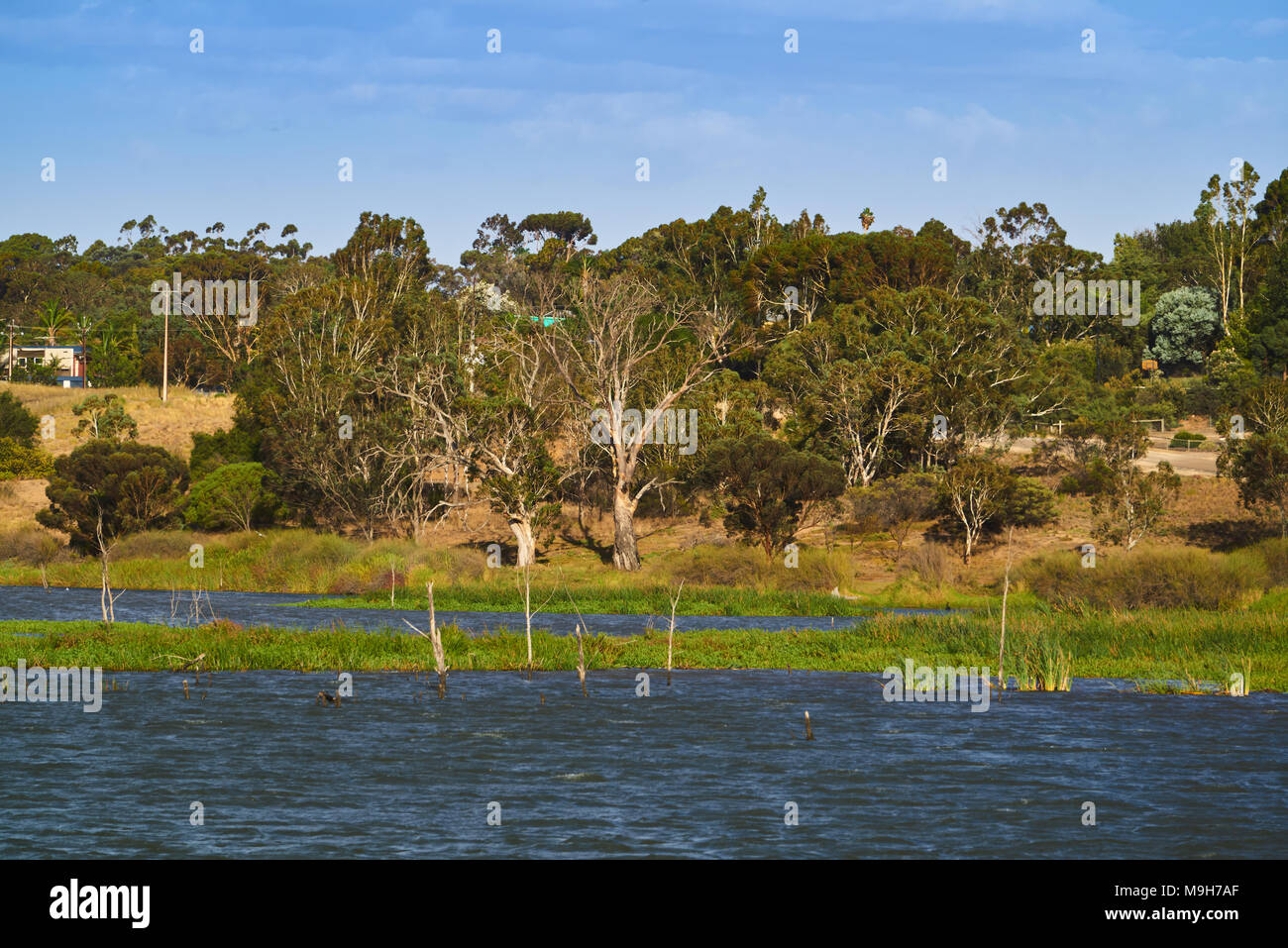 Murray river hi-res stock photography and images - Alamy