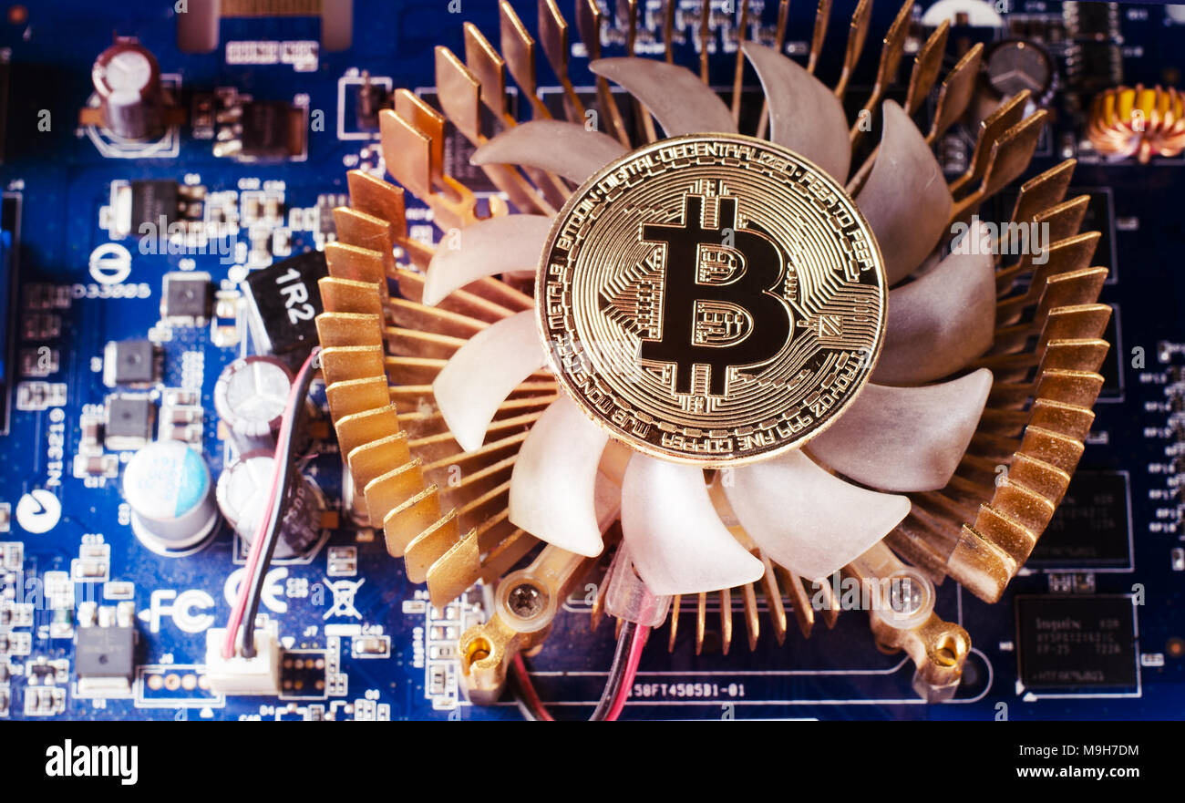 Physical Gold Bitcoin Coin on a computer video card. New independent ...