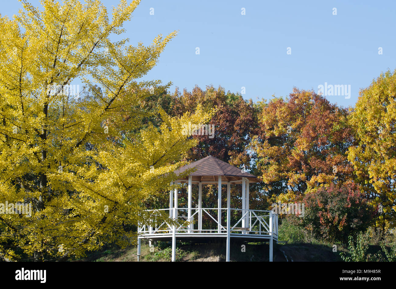 An Alcove Garden High Resolution Stock Photography and Images - Alamy