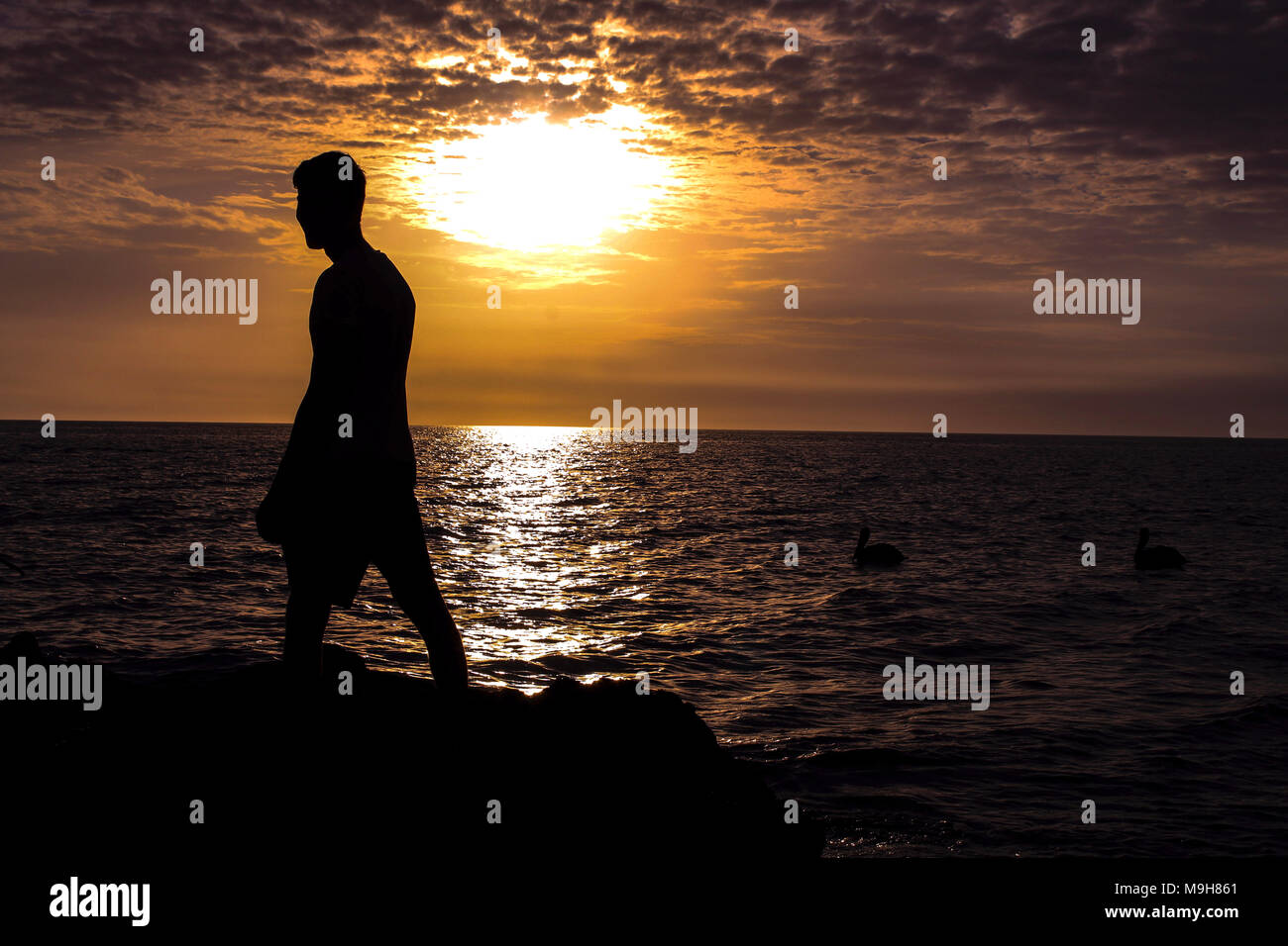 Florida sun model hi-res stock photography and images - Alamy