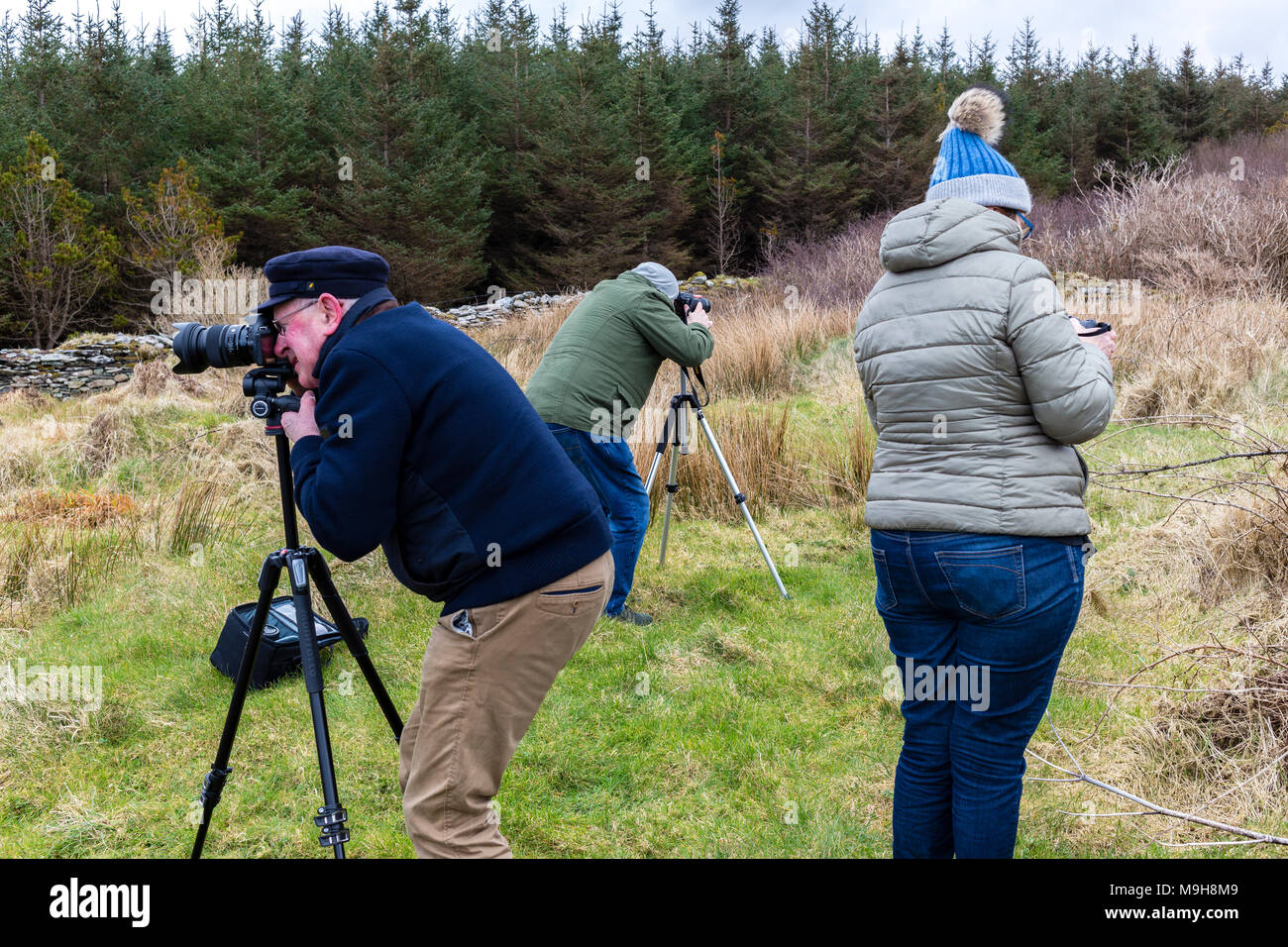 People looking in different directions hi-res stock photography and ...