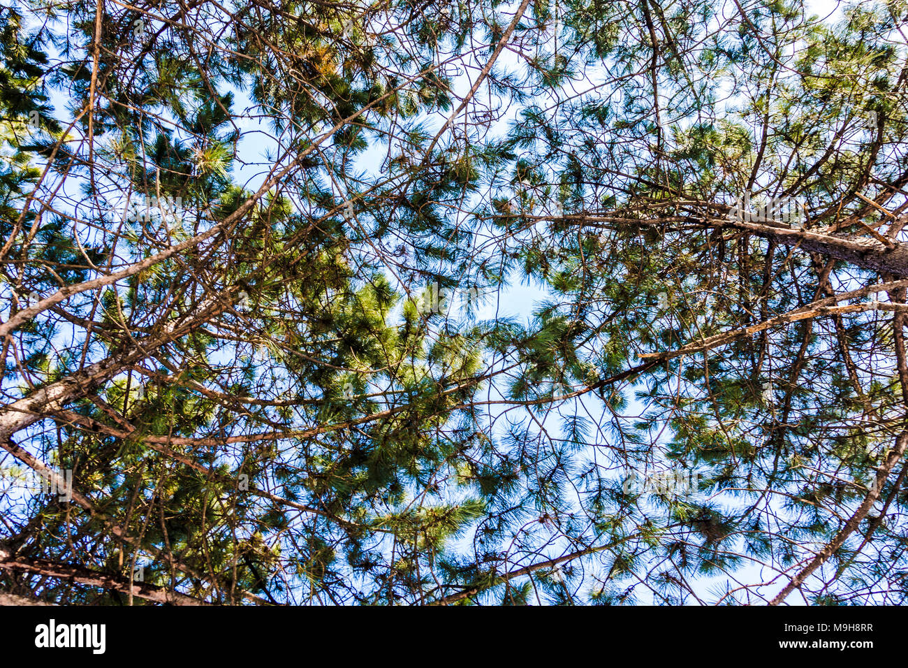 Photo from below hi-res stock photography and images - Alamy