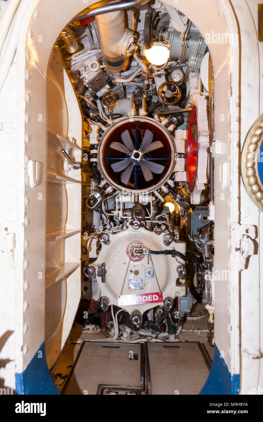 Forward torpedo tube / tubes; port side, of HMS Alliance, A class ...