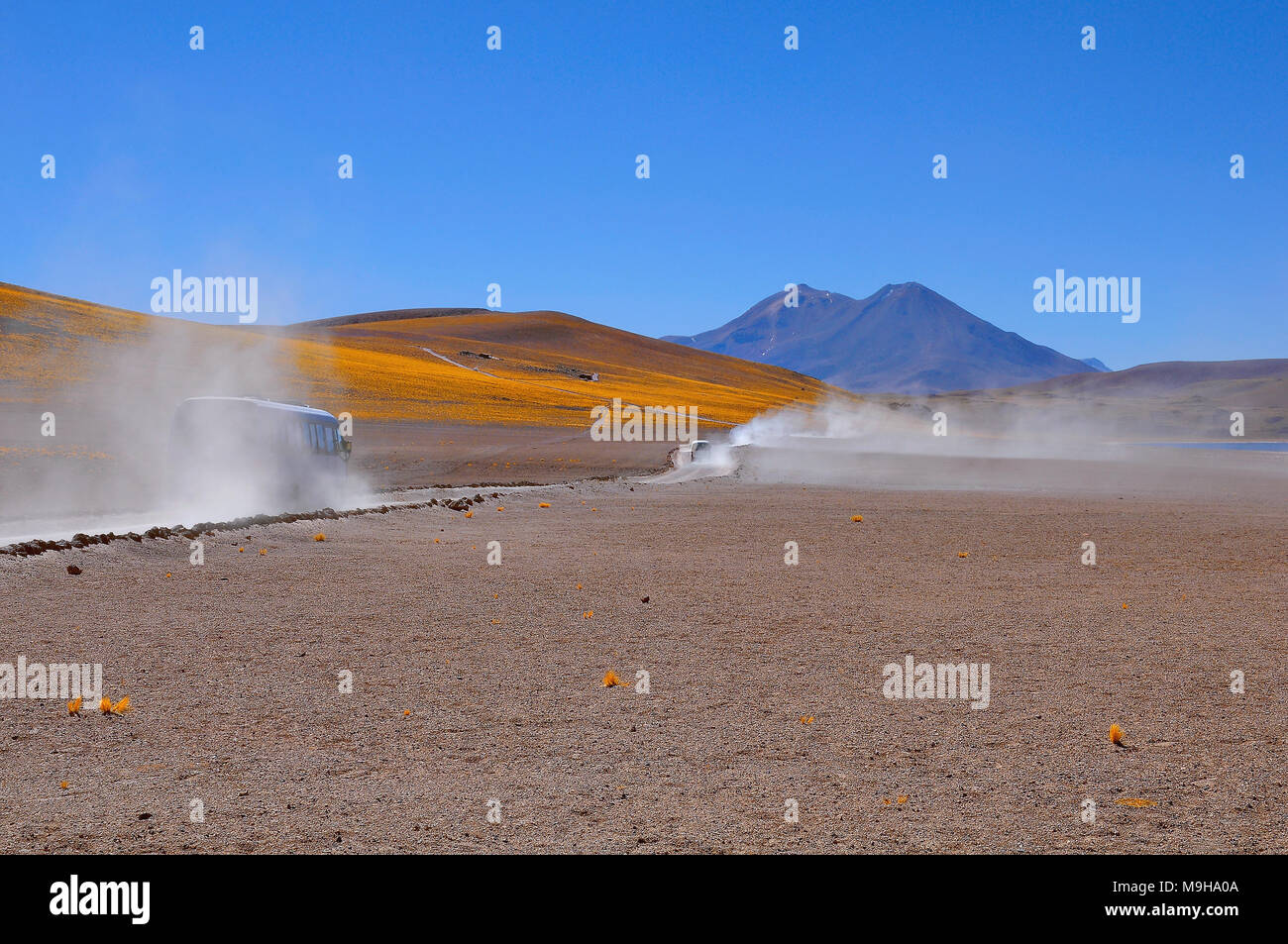 Passenger buses moves in Atacama desert. Chile Stock Photo - Alamy